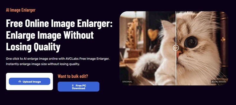 Free Online Image Enlarger: Enlarge Image Without Losing Quality | AVCLabs