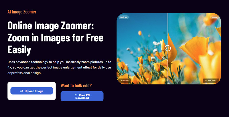 Online Image Zoomer: Zoom in Images for Free Easily | AVCLabs