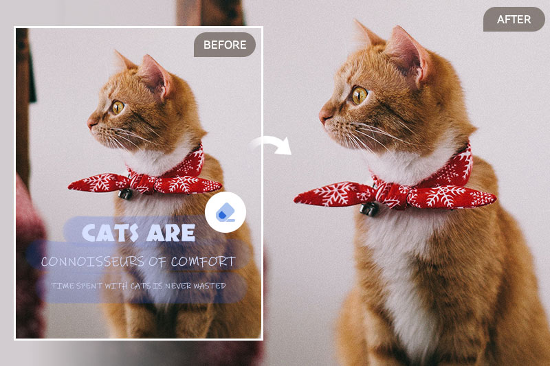 How To Remove Text From An Image Without Removing Background Online And 