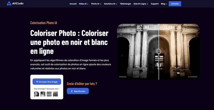 Coloriser les photos en noir et blanc en ligne | AVCLabs