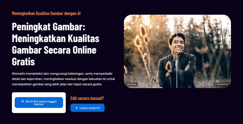 Peningkat Gambar: Meningkatkan Kualitas Gambar Secara Online Gratis | AVCLabs