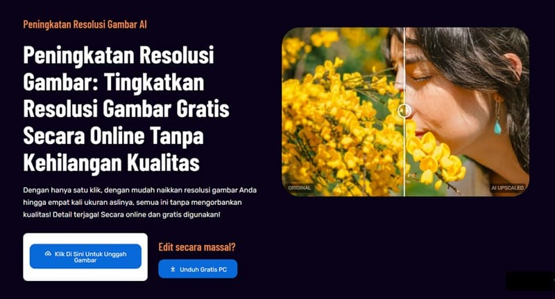 Peningkatan Resolusi Gambar: Tingkatkan Resolusi Gambar Gratis Secara Online Tanpa Kehilangan ...