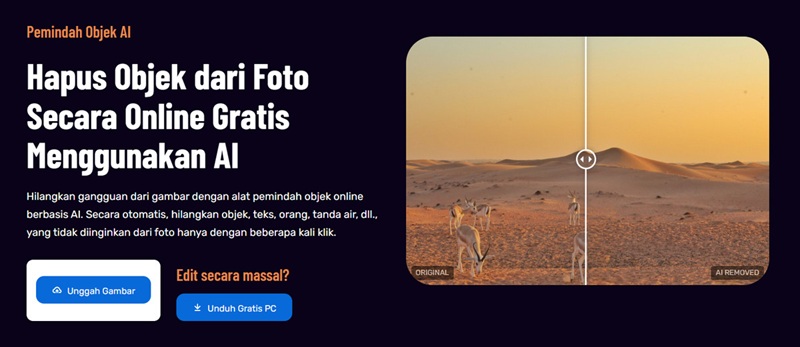 Hapus Objek dari Foto Secara Online Gratis dengan AI | AVCLabs